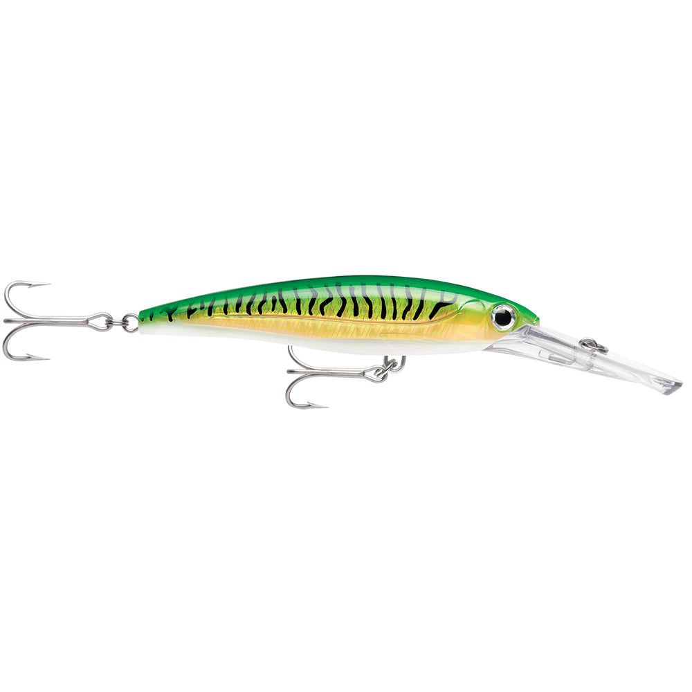 Rapala XRap Magnum 15 Gold Green Mackerel XRMAG15GGM – El Capitan ...